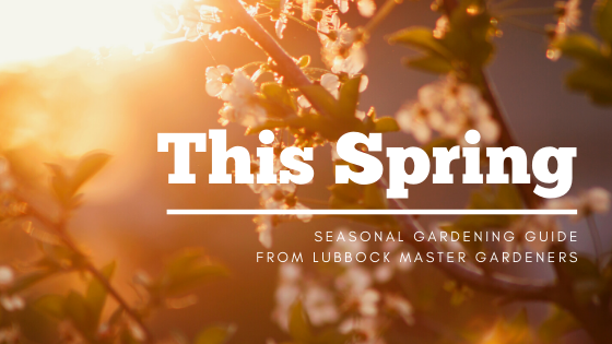 Spring Gardening Guide